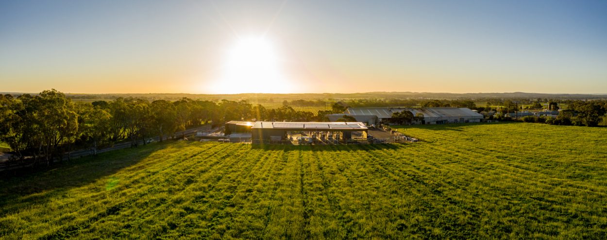 Studio Nine Architects | SA Power Networks Angaston Depot