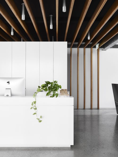 Studio Nine Architects | CityMag x S9