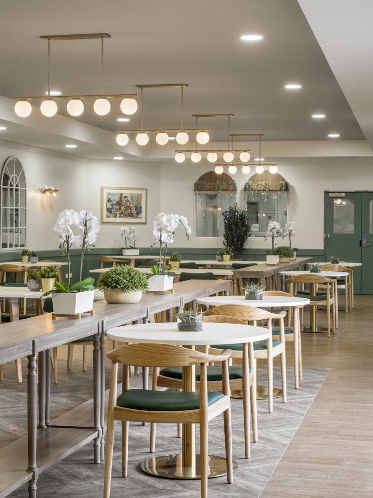 Studio Nine Architects | Salvation Army Linsell Lodge Aged Care Centre