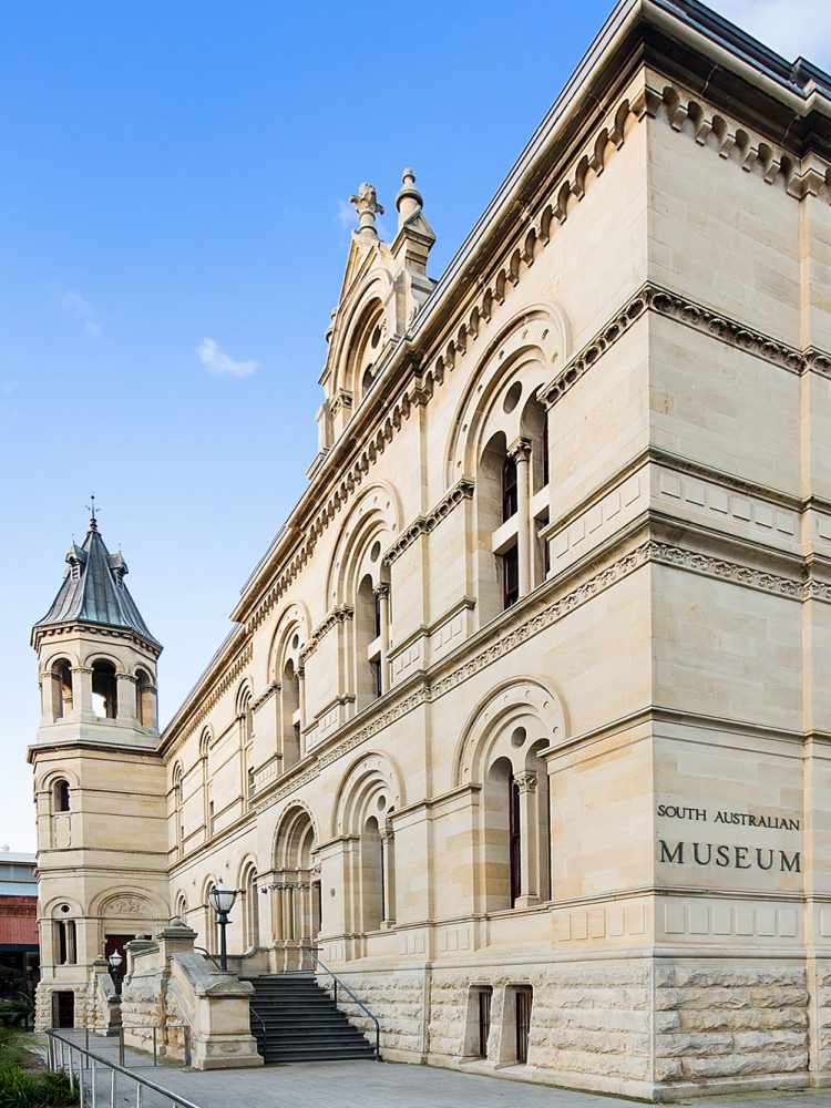 Studio Nine Architects | South Australian Museum East Wing